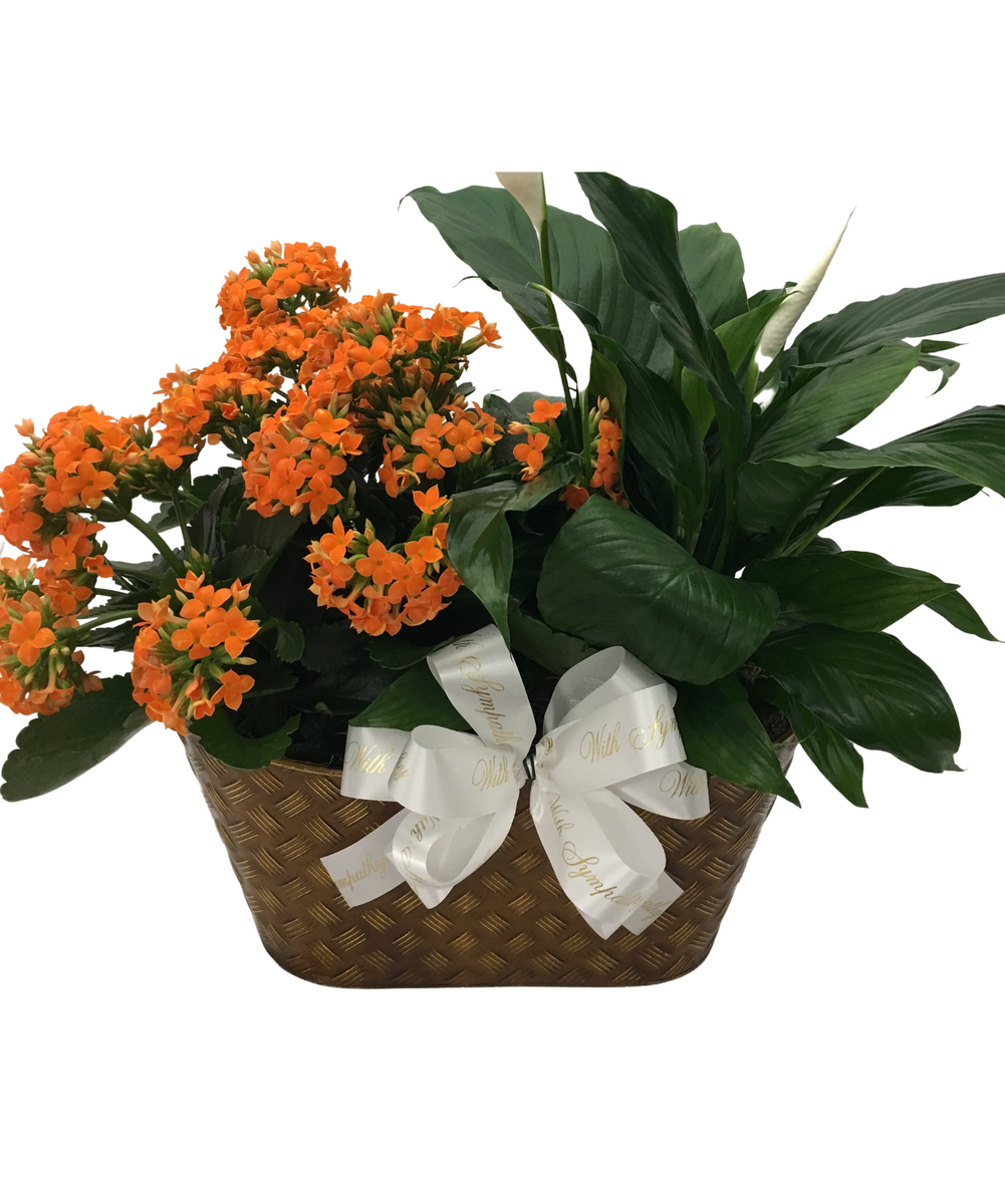 Sympathy Planter – Happy Baskets